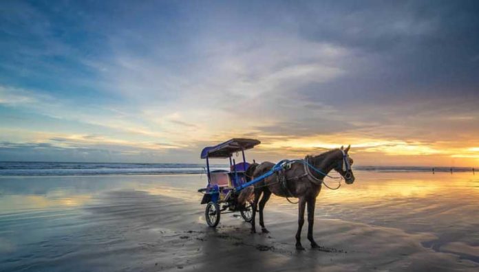 Keindahan Pantai Parangtritis - Daya Tarik, Harga Tiket Masuk